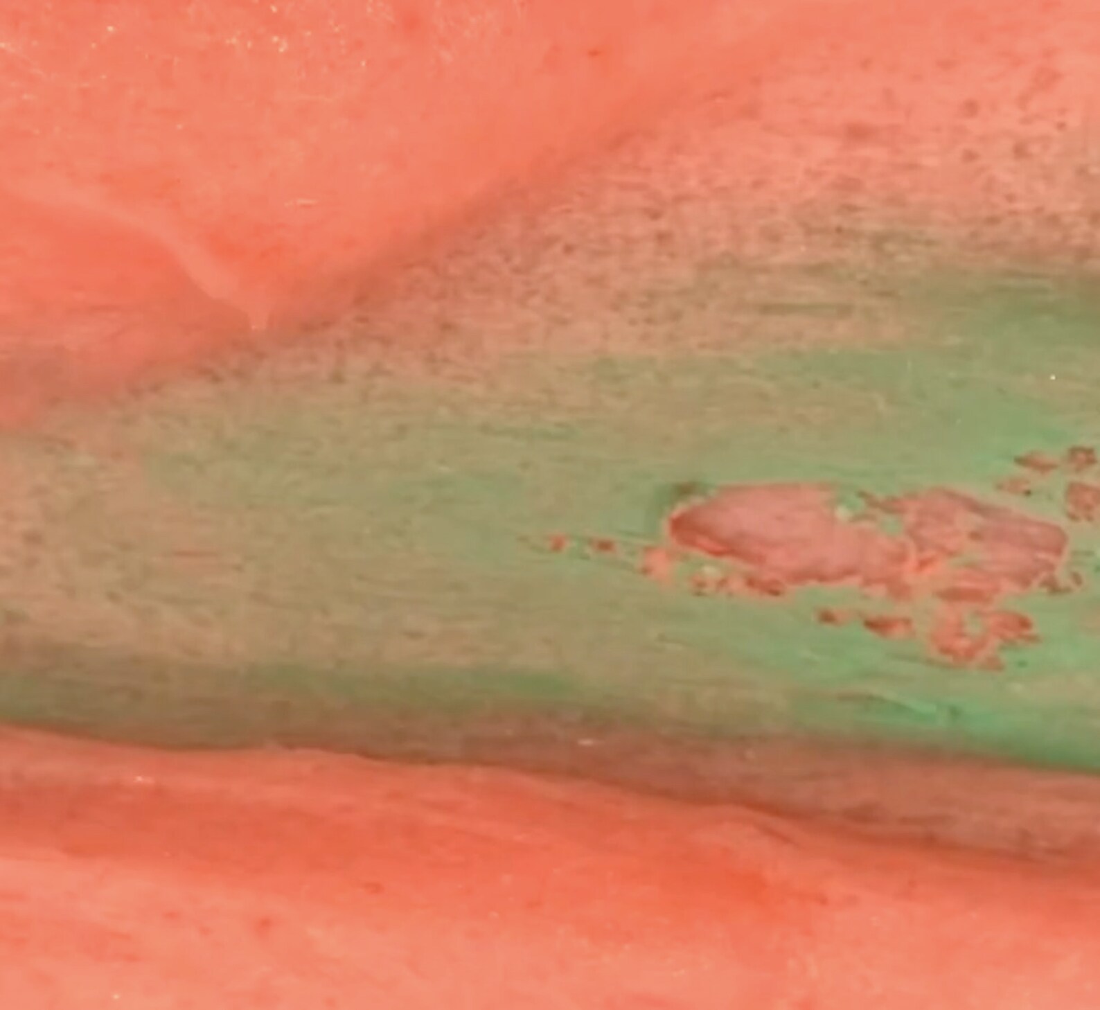 Watermelon Juice Slime DIY Icy Slime Food Slime - Etsy
