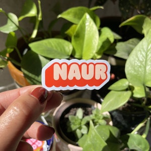 AUR NAUR Waterproof Vinyl Sticker / Funny Heavy Duty Die-cut Decal for ...