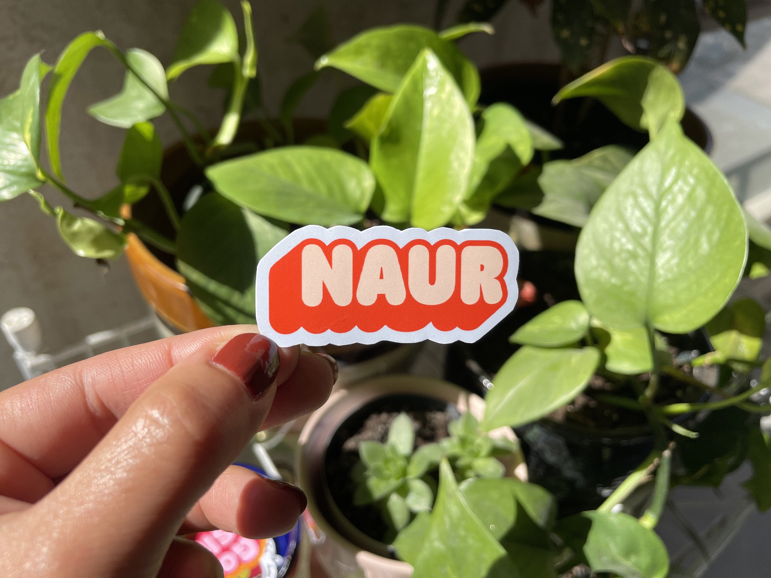 AUR NAUR Waterproof Vinyl Sticker / Funny Heavy Duty Die-cut Decal for ...