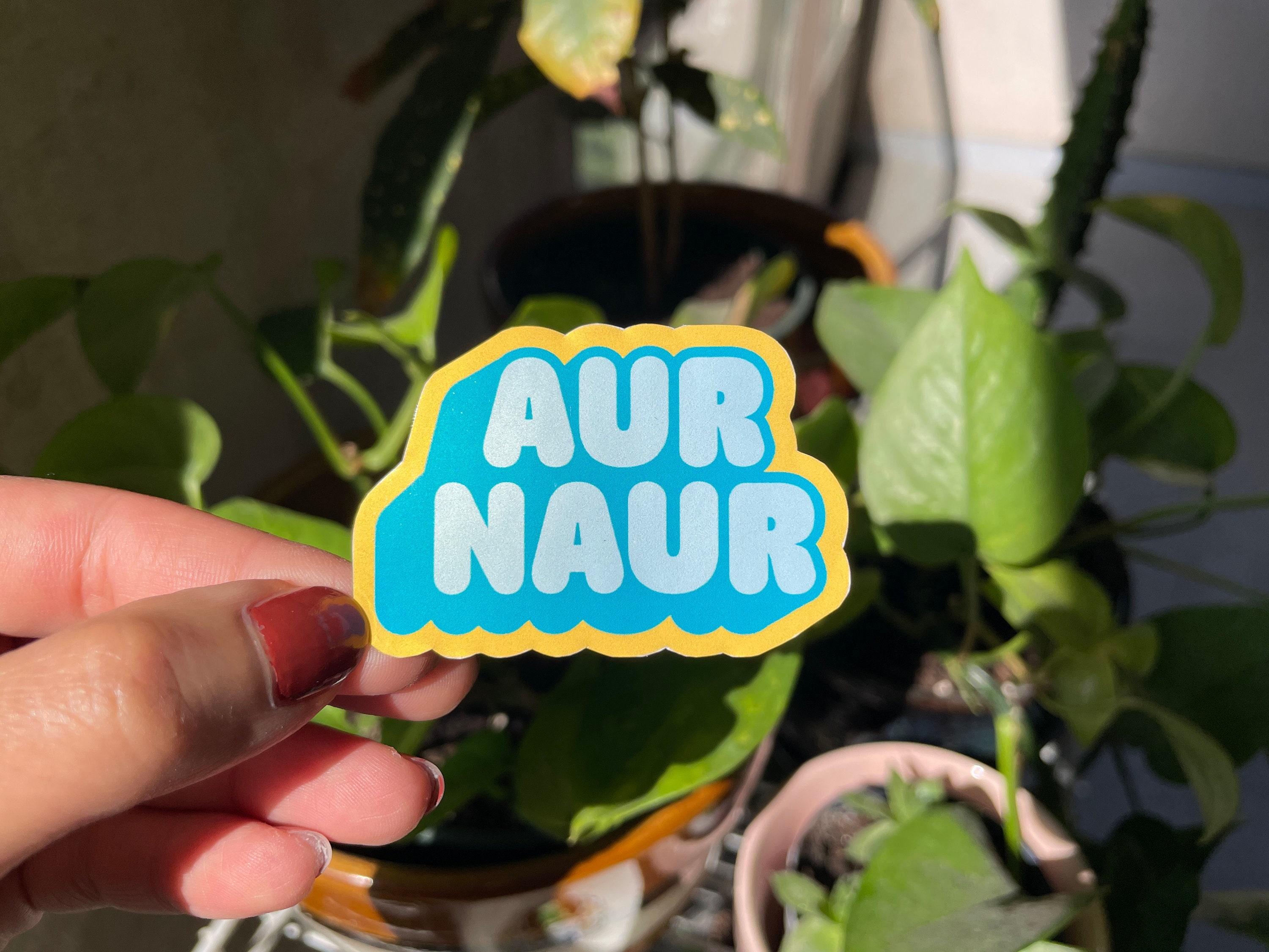 AUR NAUR Waterproof Vinyl Sticker / Funny Heavy Duty Die-cut Decal for ...