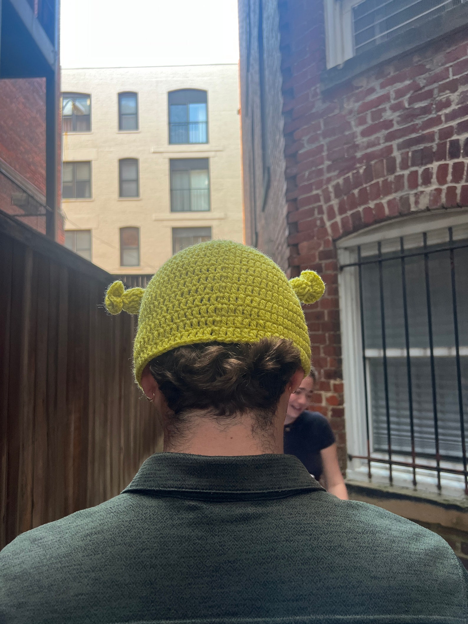 PATTERN Crochet Shrek Balaclava || PDF Digital Download Only || Hat ...