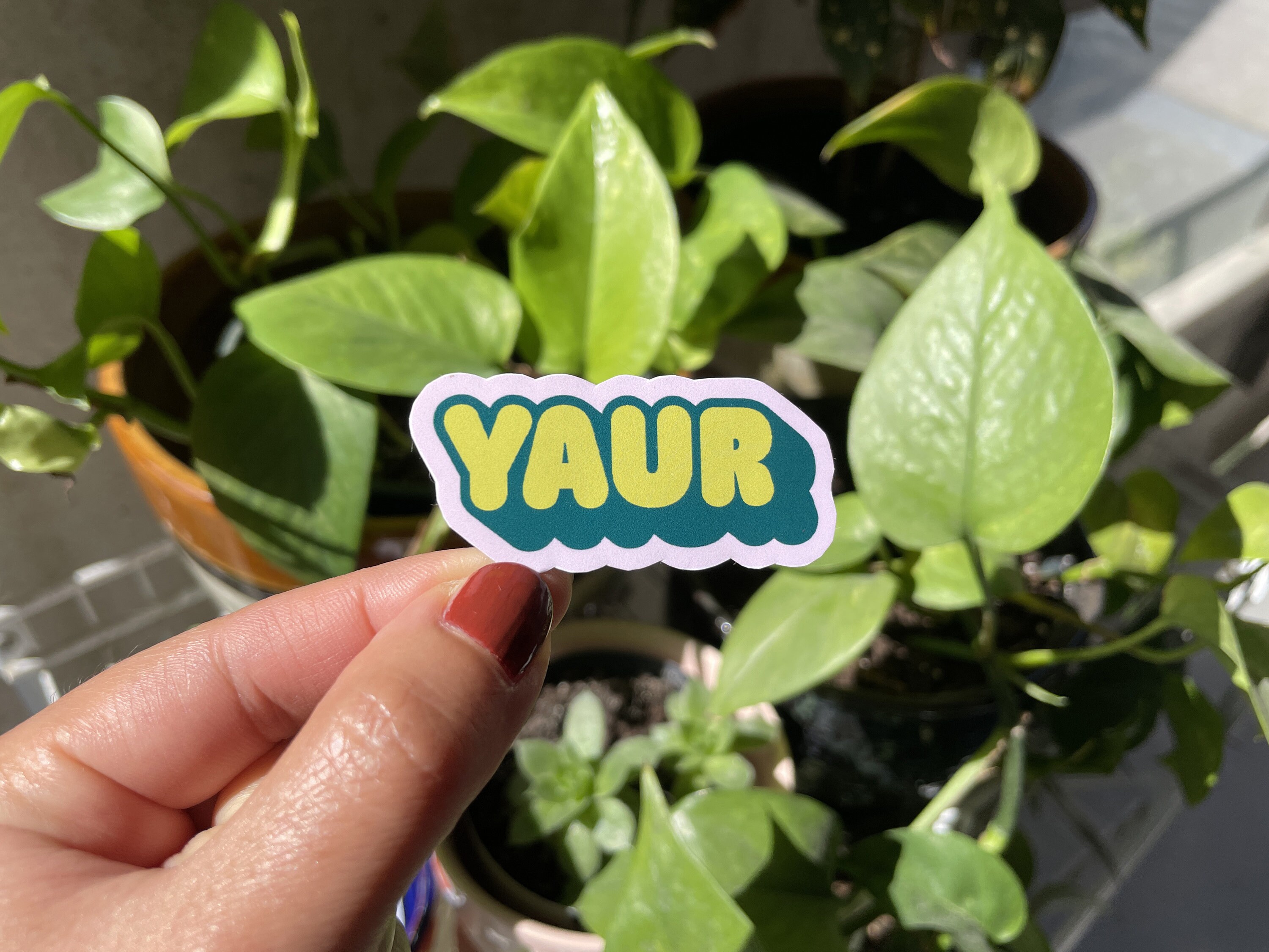 NAUR Waterproof Vinyl Sticker / Heavy Duty Die-cut Decal for - Etsy