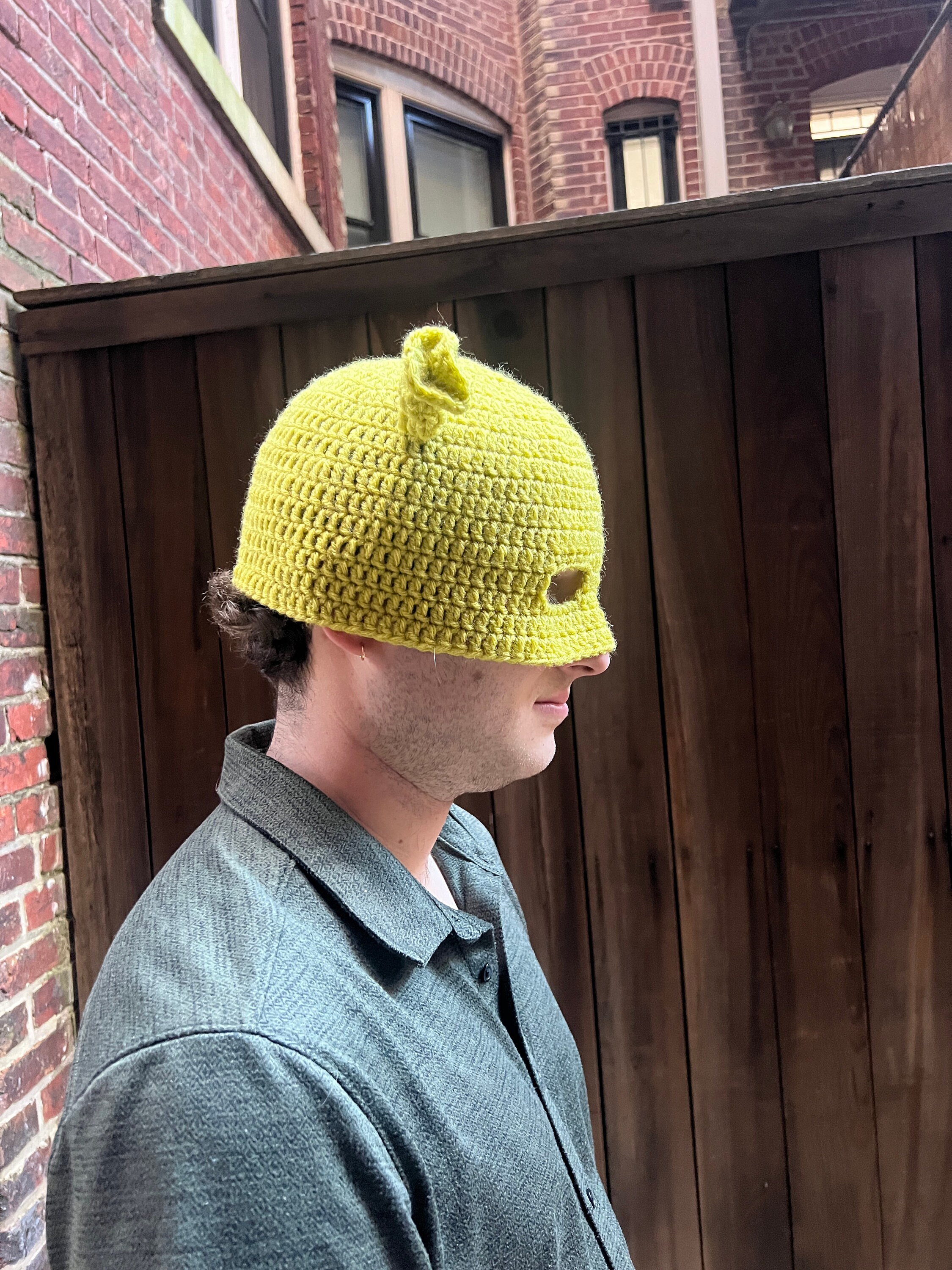 PATTERN Crochet Shrek Balaclava || PDF Digital Download Only || Hat ...