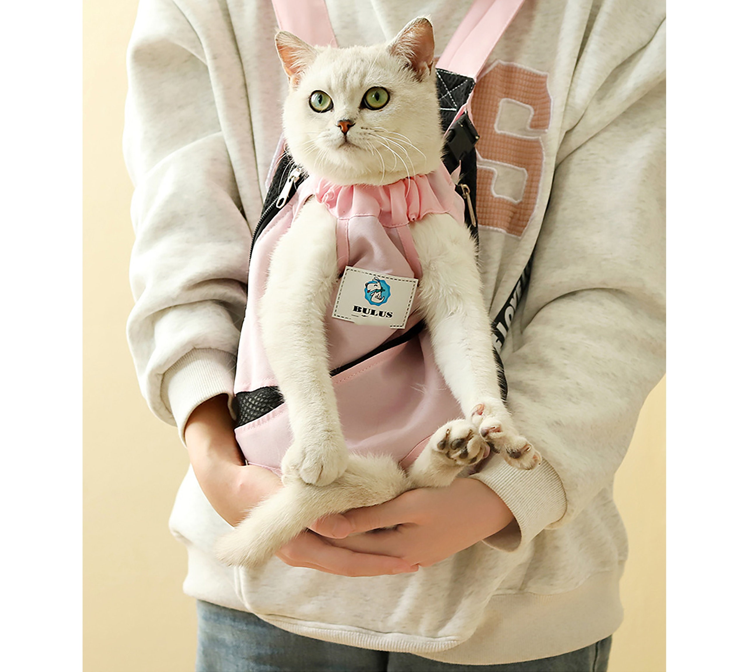 Funny Cat Carrier