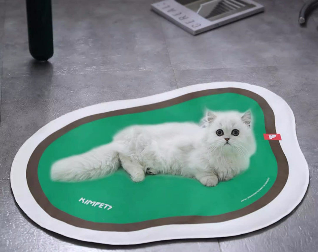 Green Cool Cat Mat Bed Summer Cartoon Ice Mat Cat Mat Bed - Etsy