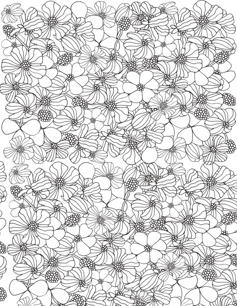 55 Teen/adult Coloring Pages — Succulents — Mandalas — Flowers - Etsy