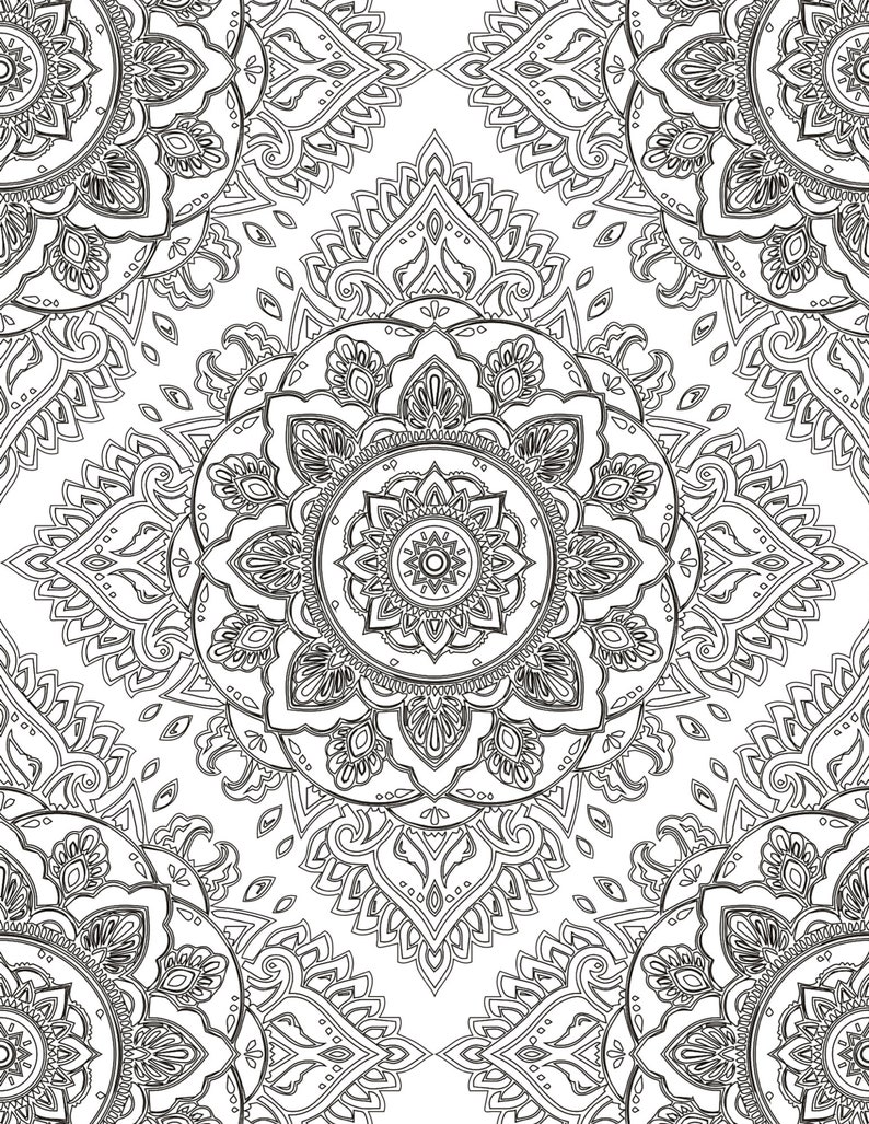 55 Teen/adult Coloring Pages — Succulents — Mandalas — Flowers - Etsy