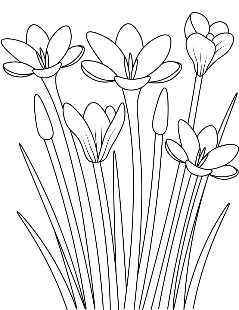 40 Spring Coloring Pages - Etsy