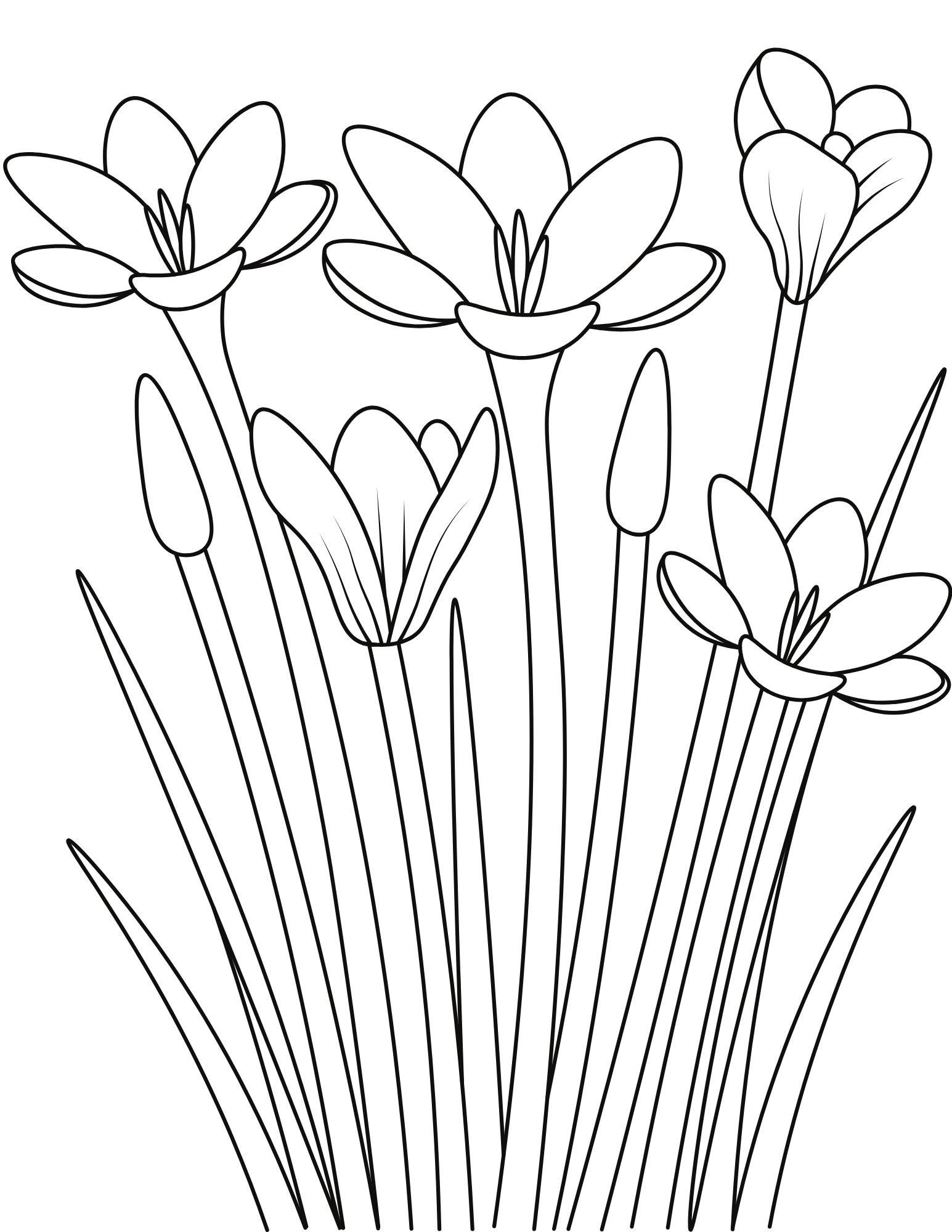 40 Spring Coloring Pages - Etsy