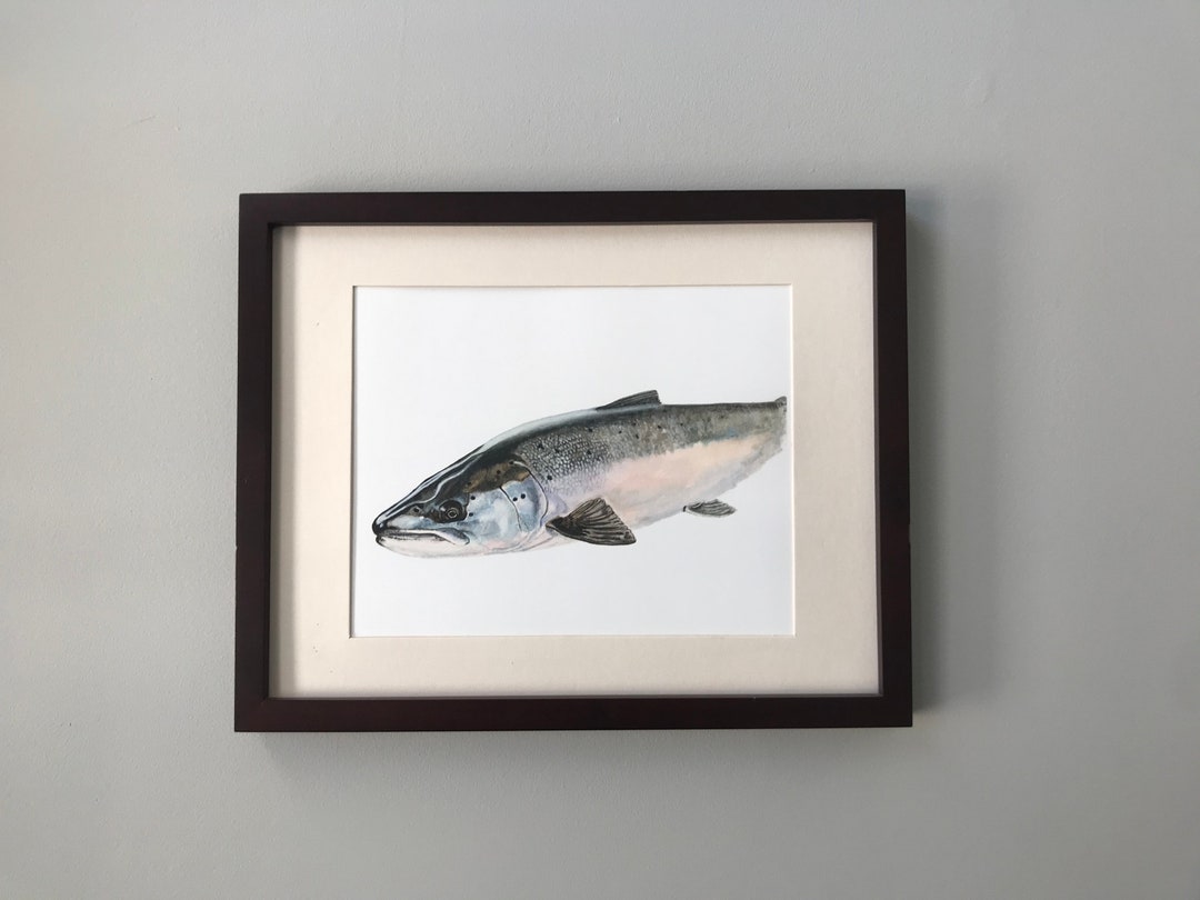 Atlantic Salmon Watercolor Print - Etsy