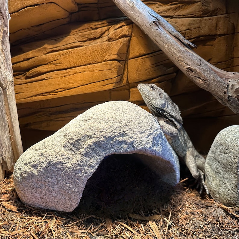 Royal Rock Cave | Bearded Dragon - Xlarge Reptile Hide - Etsy