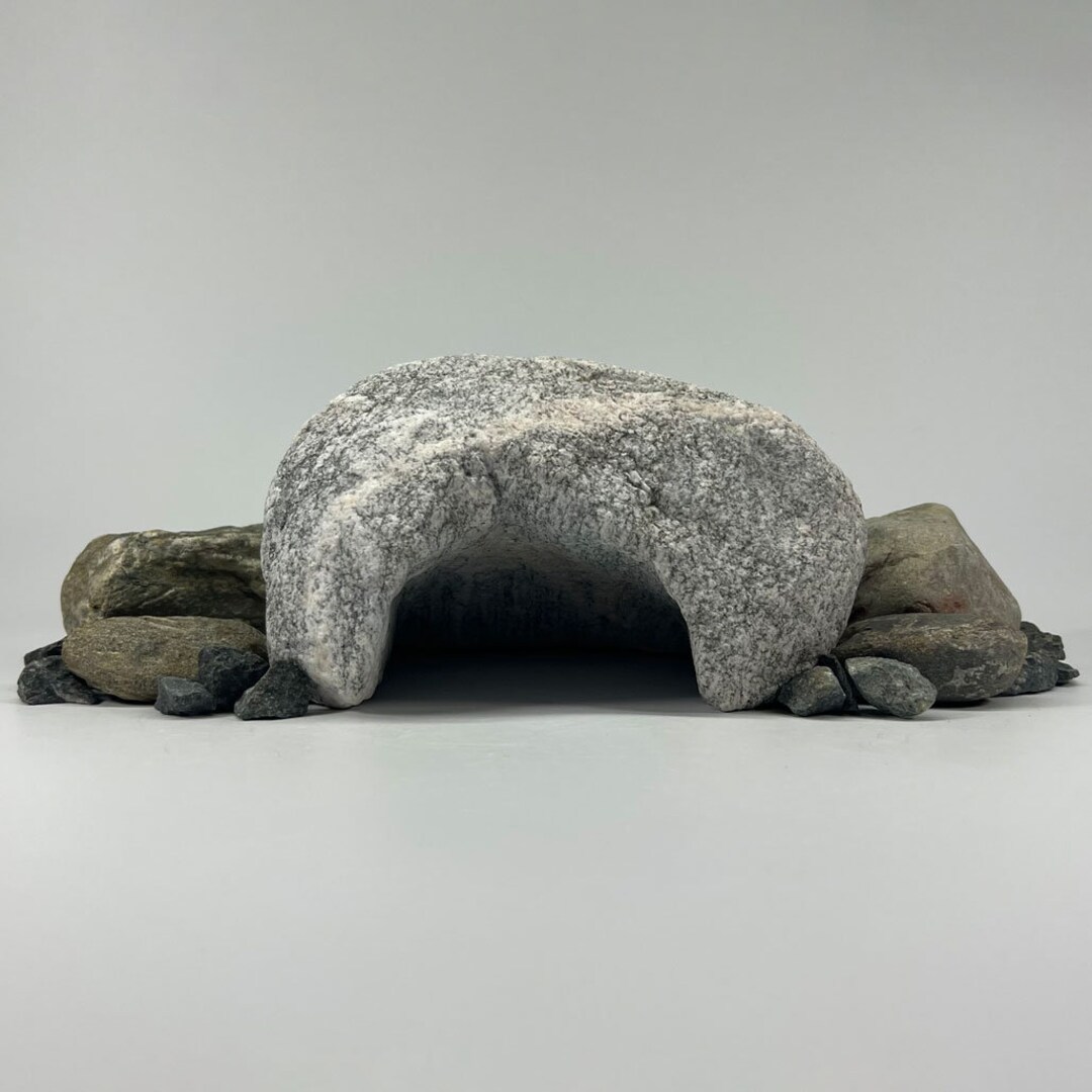 Royal Rock Cave Dart Frog/tarantula Small Reptile Hide - Etsy