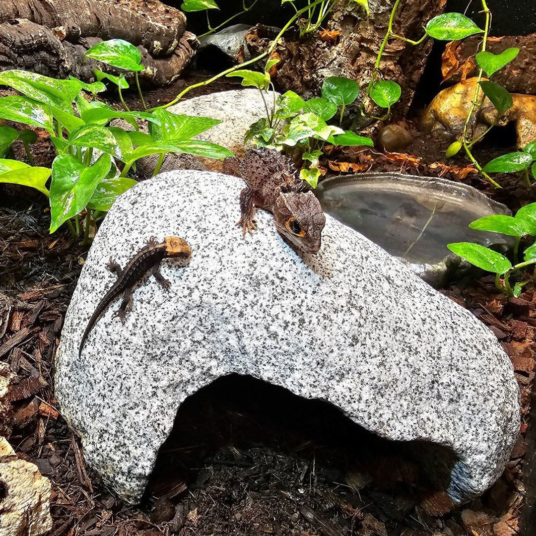 Royal Rock Cave | Leopard Gecko - Medium Reptile Hide - Etsy