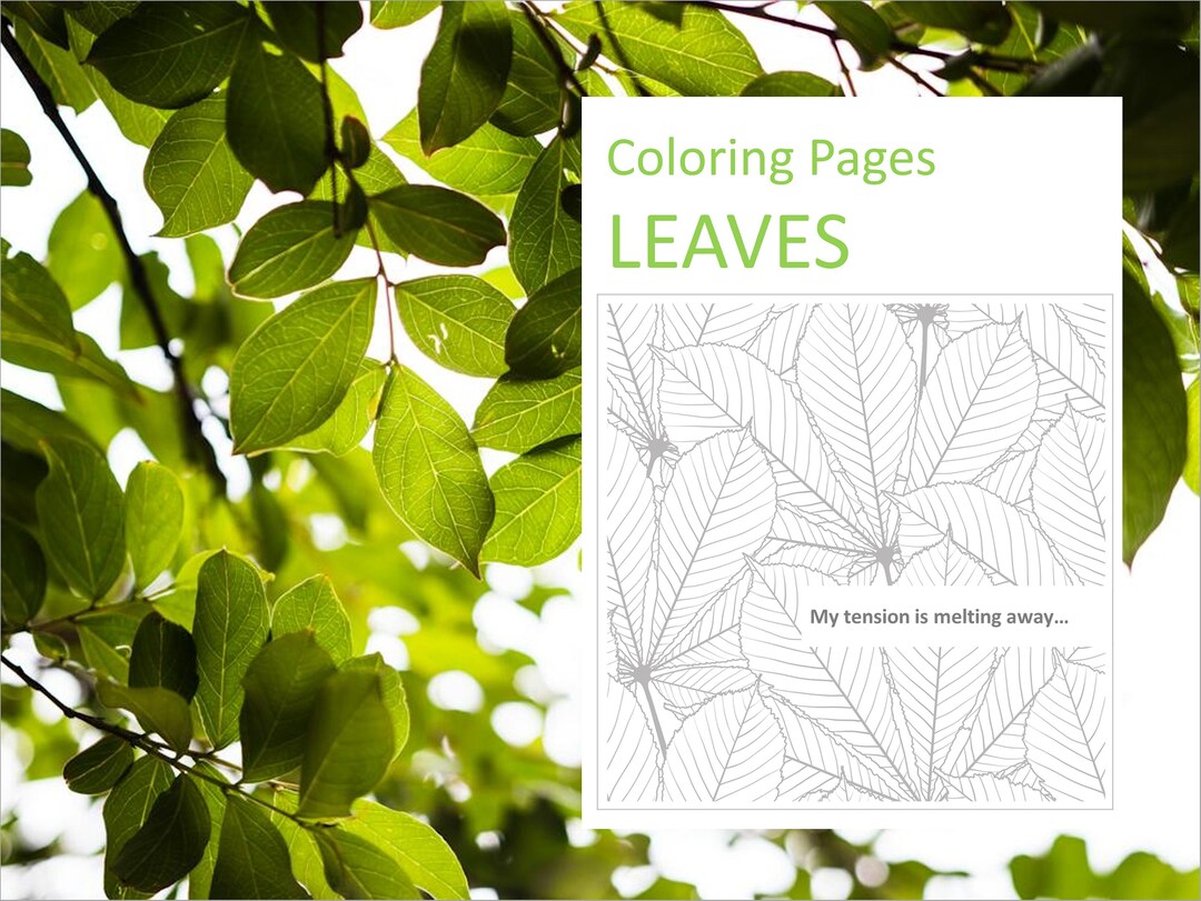 Mindfulness Leaves Coloring Pages for Adults With Affirmations ...