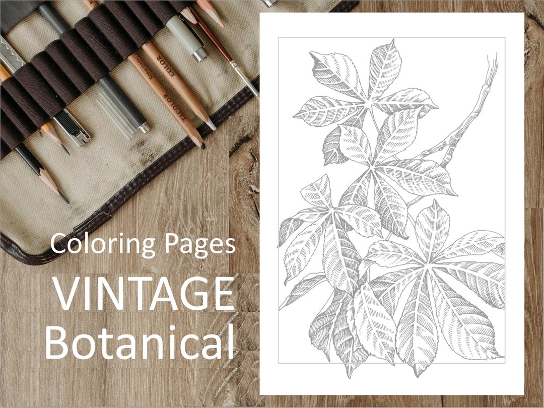 Botanical Mental Health Coloring Book: Affirmation Quotes (digital) - Etsy