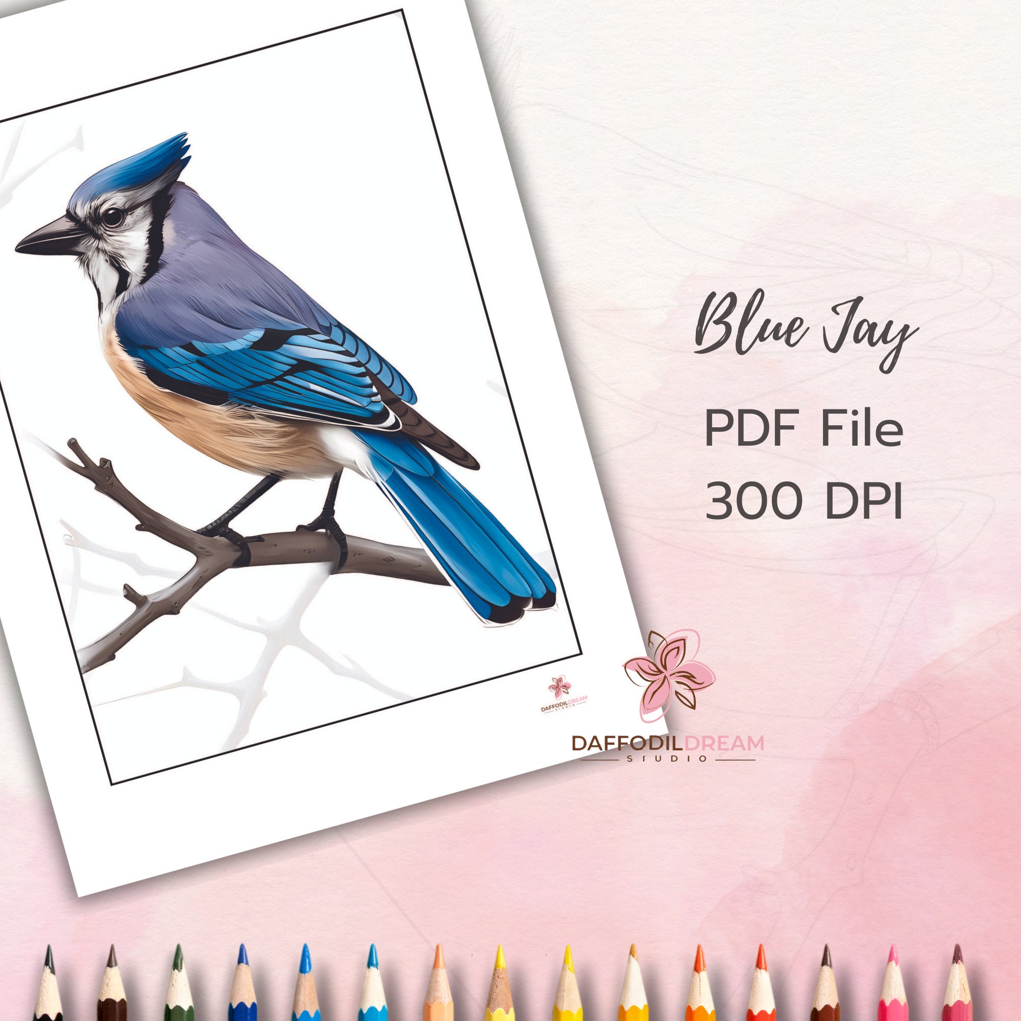 Blue Jay Bird Paint Party Printable, Paint and Sip Kit Printable, Bird ...