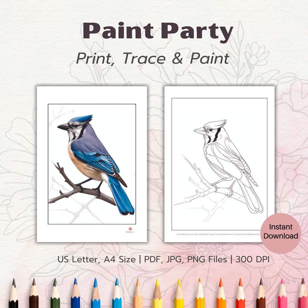Blue Jay Bird Paint Party Printable, Paint and Sip Kit Printable, Bird ...