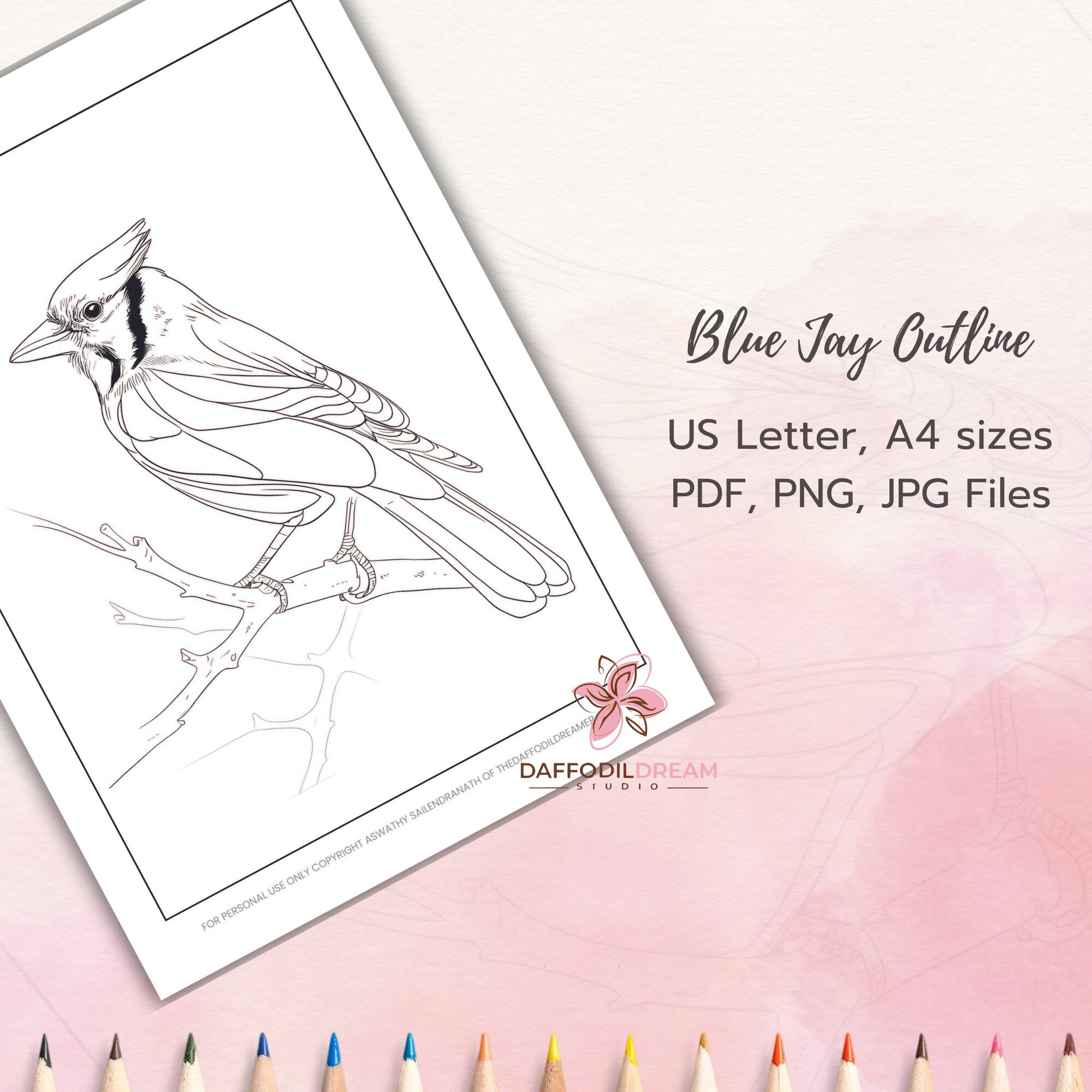 Blue Jay Bird Paint Party Printable, Paint and Sip Kit Printable, Bird ...