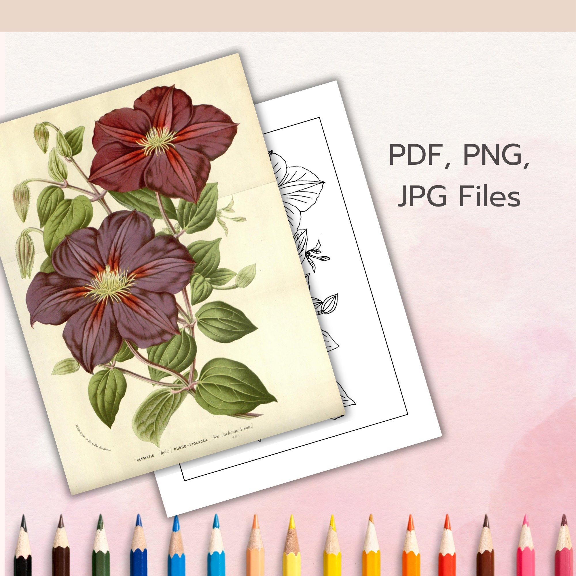 Vintage Paint Party Printable, DIY Paint Party Template, Pre-drawn ...