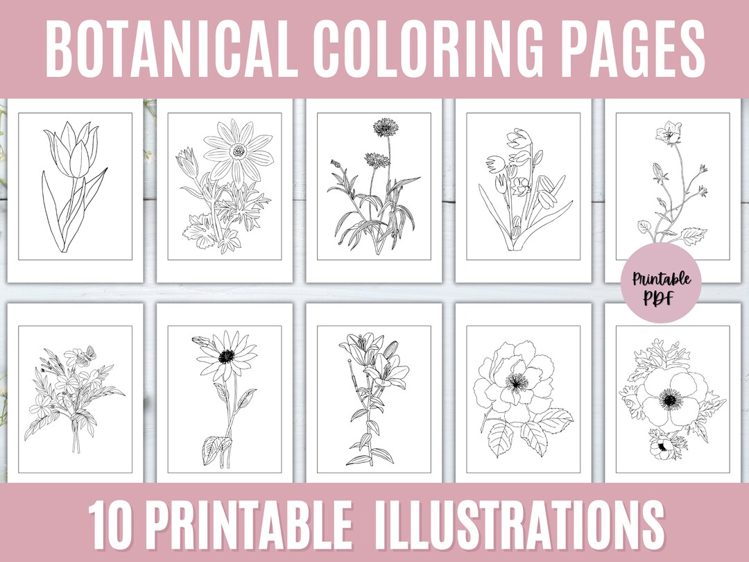 Botanical Coloring Pages, Vintage Coloring Books, Botanical ...