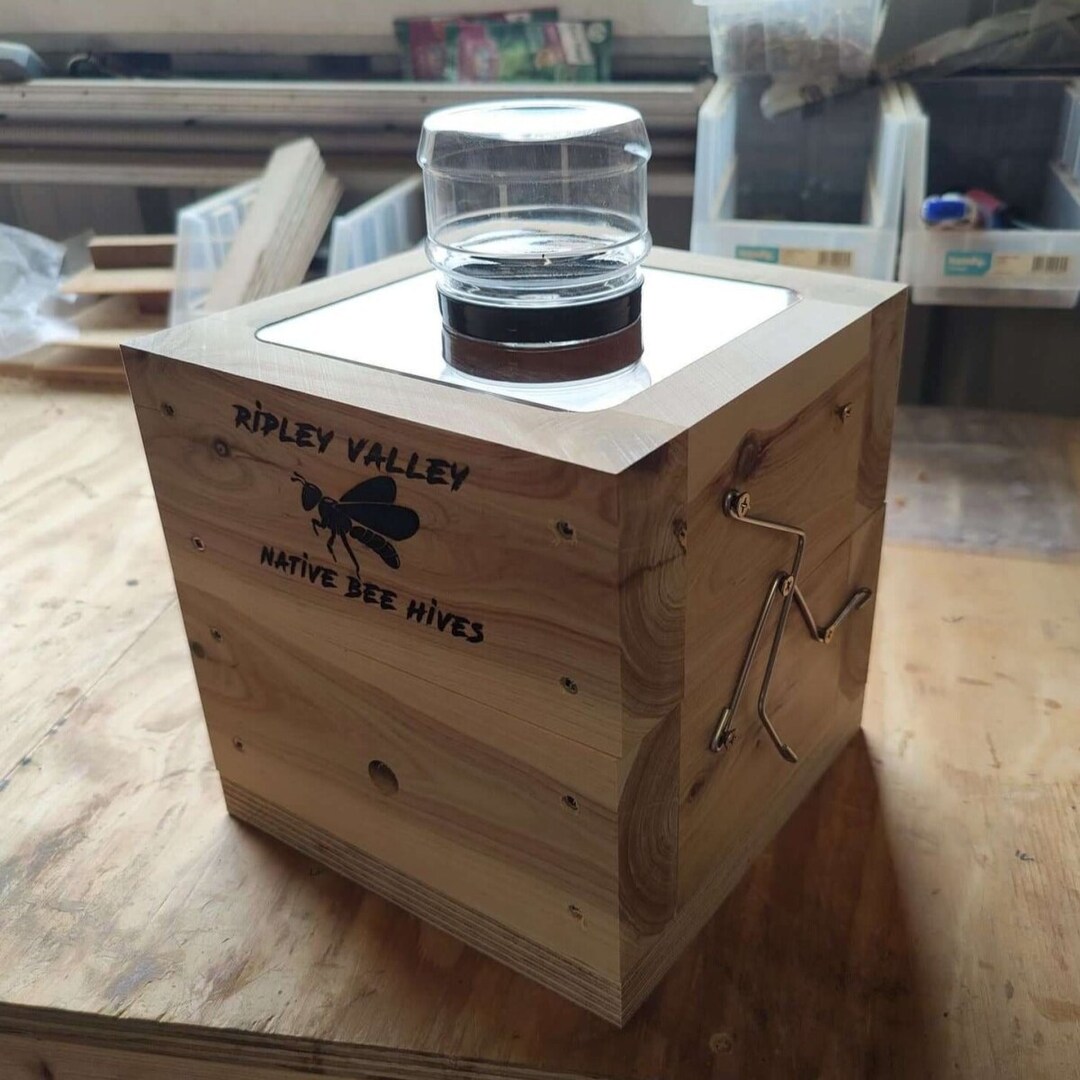 Mini Oath Native Bee Hive Native Bee Box Raw Pine Acrylic - Etsy Australia
