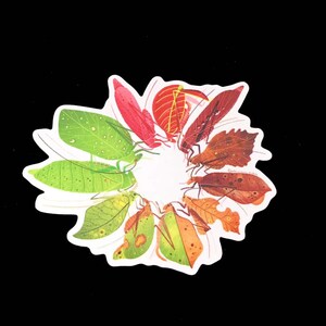 Katydid Circle Emboss Waterproof Sticker 3x3" - Etsy