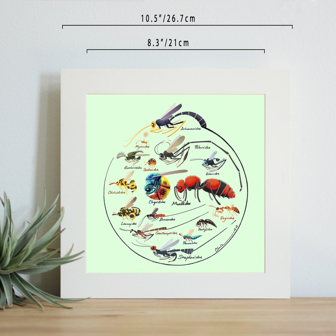 Parasitoid Wasp Print - Etsy