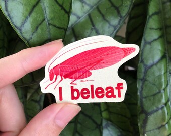 ChentomologyArt - Etsy