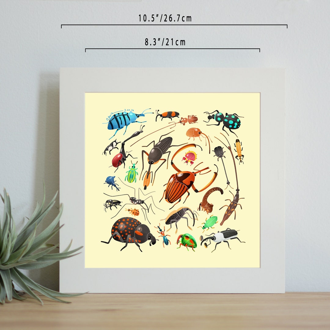 Weevil Print - Etsy