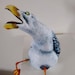 Grumpy Seagull "sandy" - Etsy UK