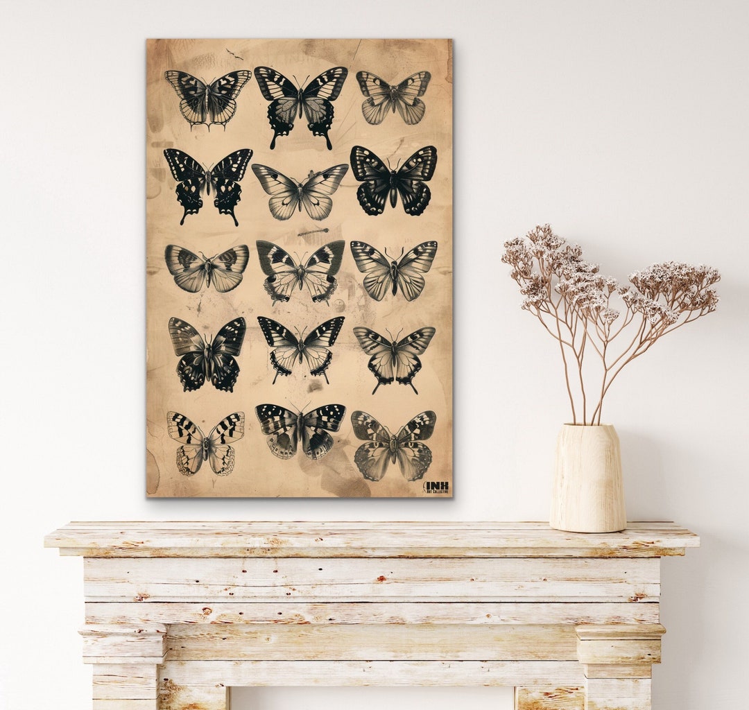 Vintage Butterfly Collection Canvas Wall Art - Etsy