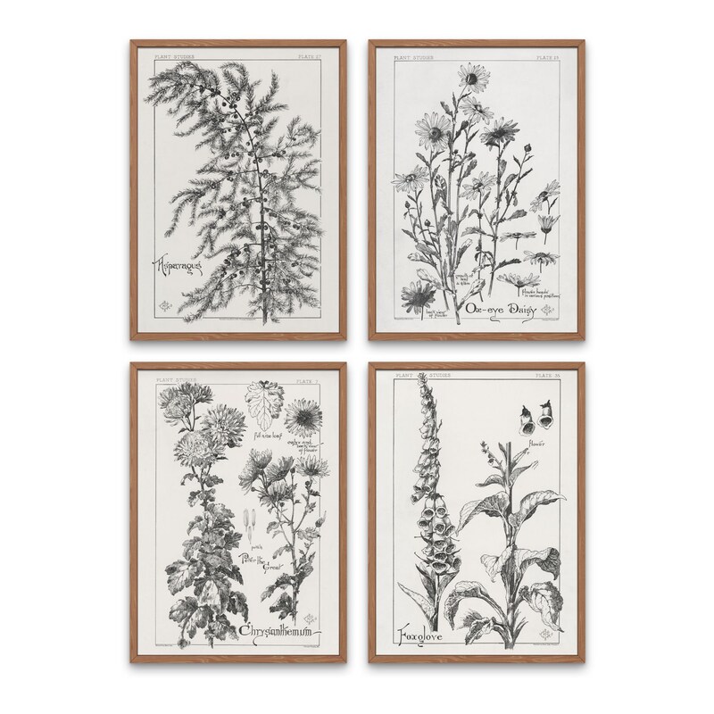 Black Botanical - Etsy