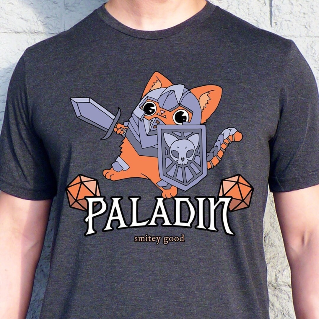 Paladin Class Tshirt, Dnd Shirt, Dnd Gifts, D20 Shirt, Role Playing ...