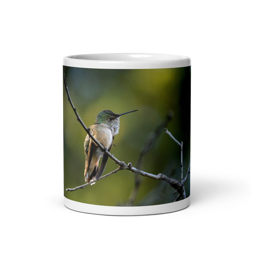 Hummingbird Mug Nature Photography Bird Mug Nature Mug - Etsy