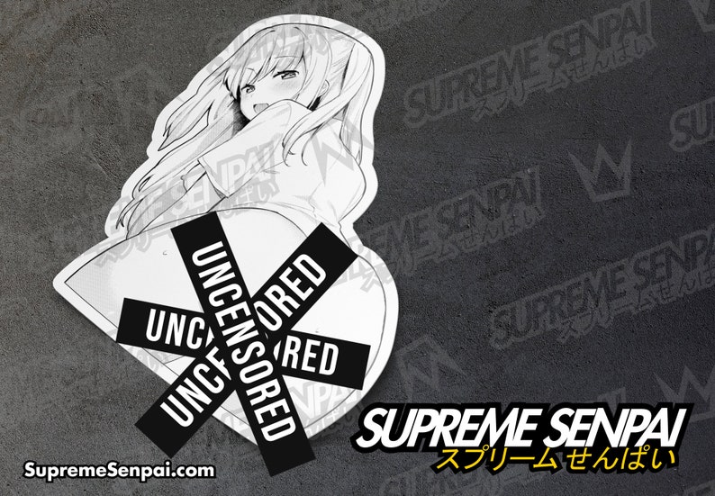 Anime Sticker Sexy Anime Girls Ecchi Anime Girl Stickers Lewd Etsy