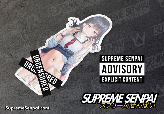 Anime Sticker Sexy Anime Girls Ecchi Anime Girl Stickers Lewd Etsy