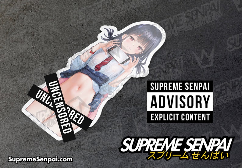 Anime Sticker Sexy Anime Girls Ecchi Anime Girl Stickers Lewd Etsy