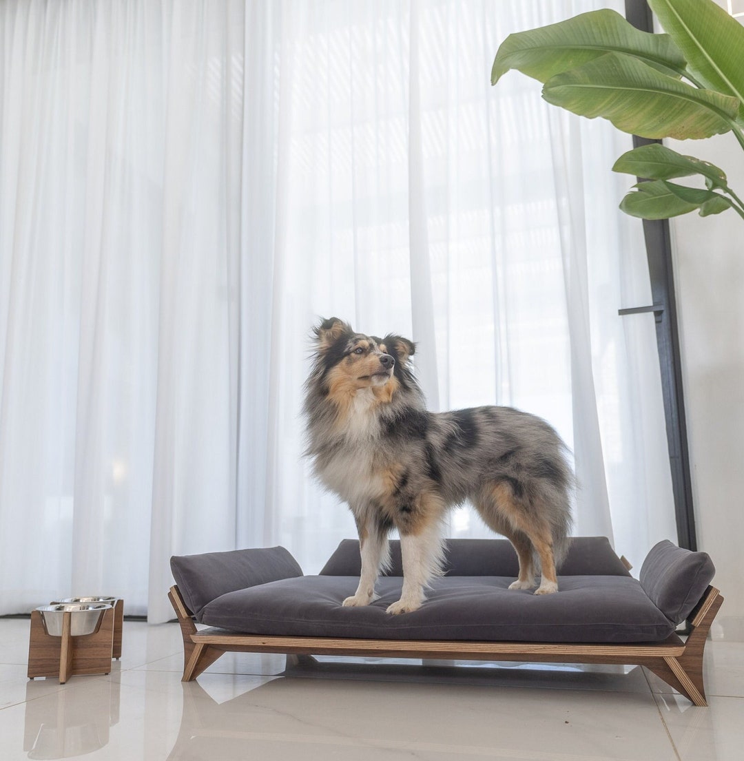 Luxury Wood Raised Pet Sofa, Big Dog Bed, Large Size High-end Dog Bed ...