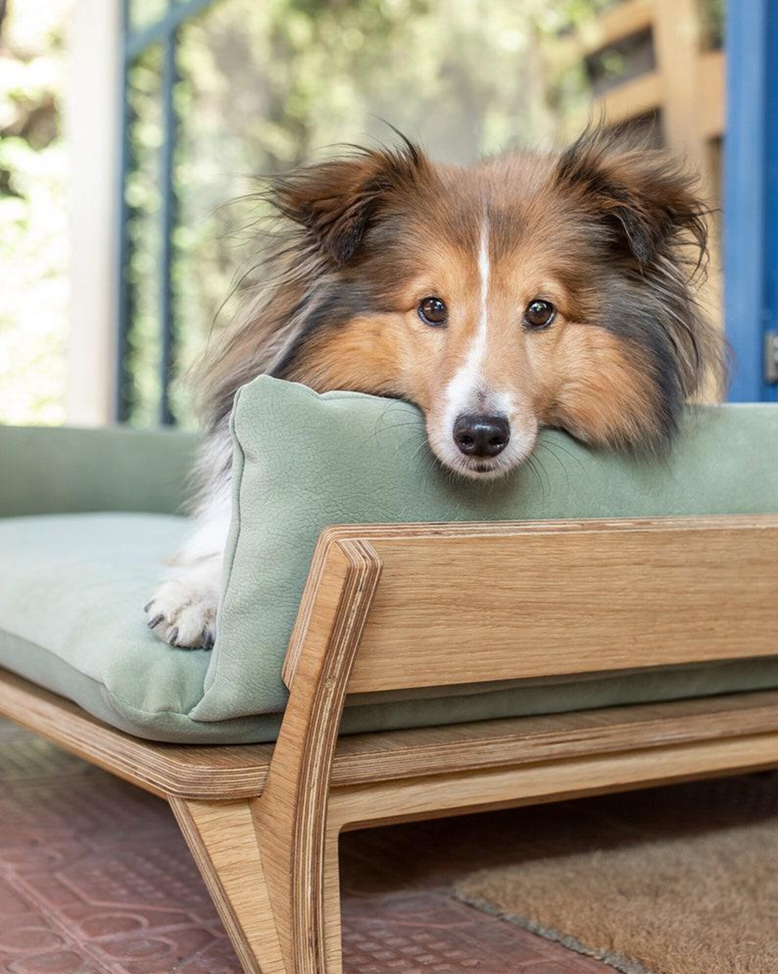 Luxury Oak Wood Pet Furniture, Elevated Dog Couch, Large Raised Bed for ...