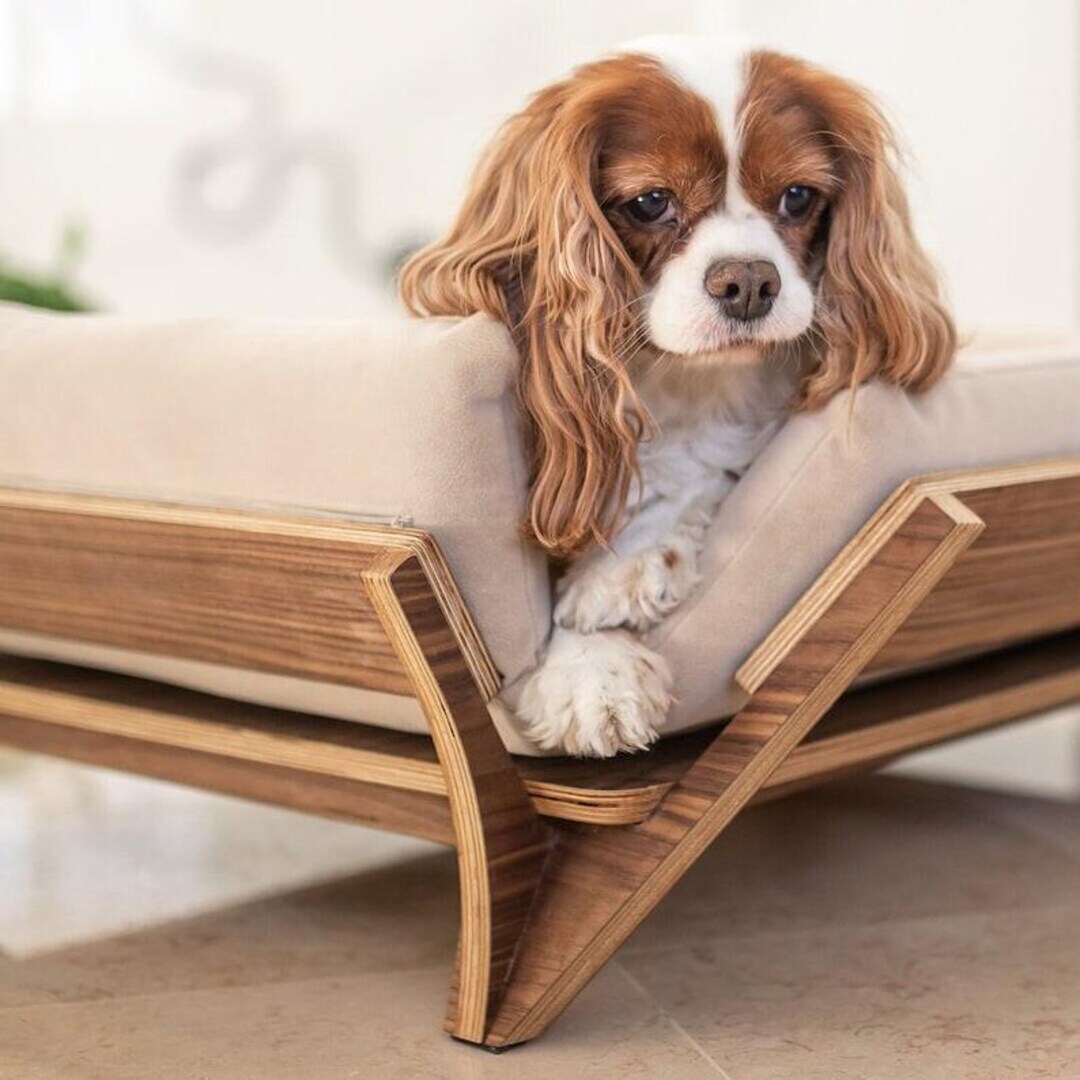 Walnut Wood Small Dog Sofa, Scandinavian Pet Furniture, Puppy Bed With ...