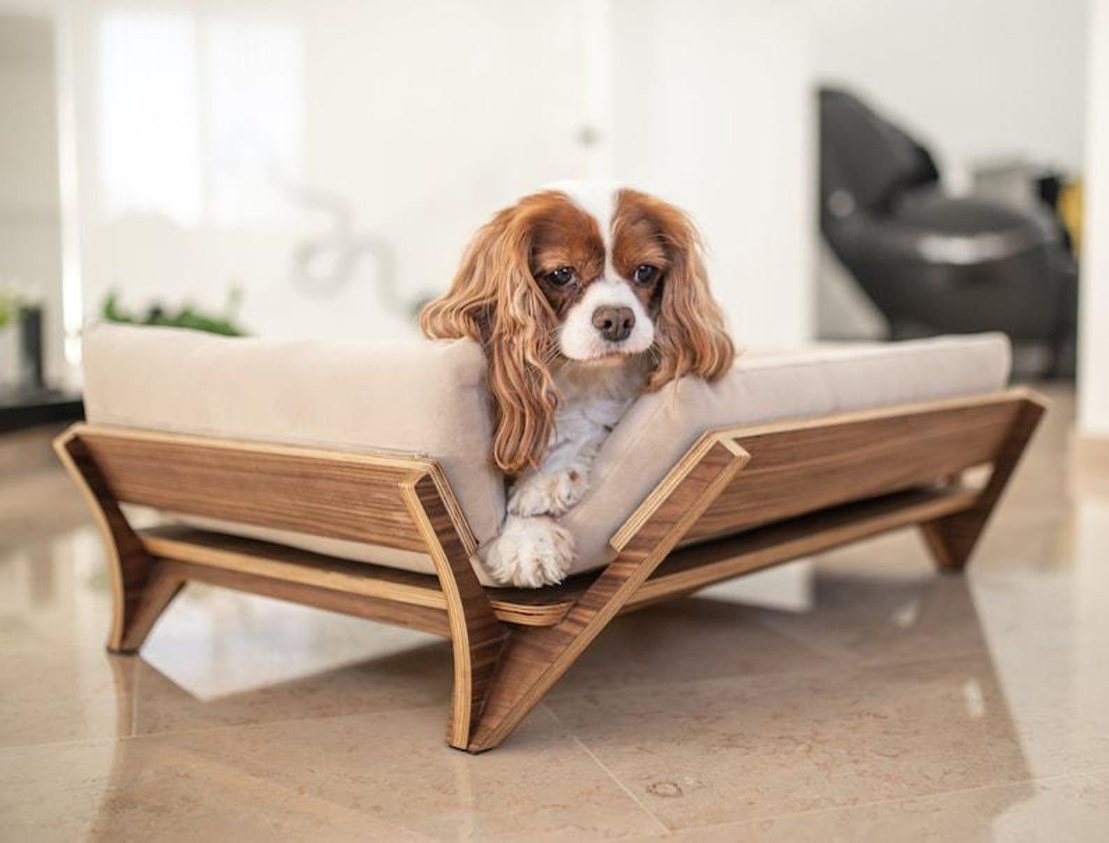 Walnut Wood Small Dog Sofa, Scandinavian Pet Furniture, Puppy Bed With ...