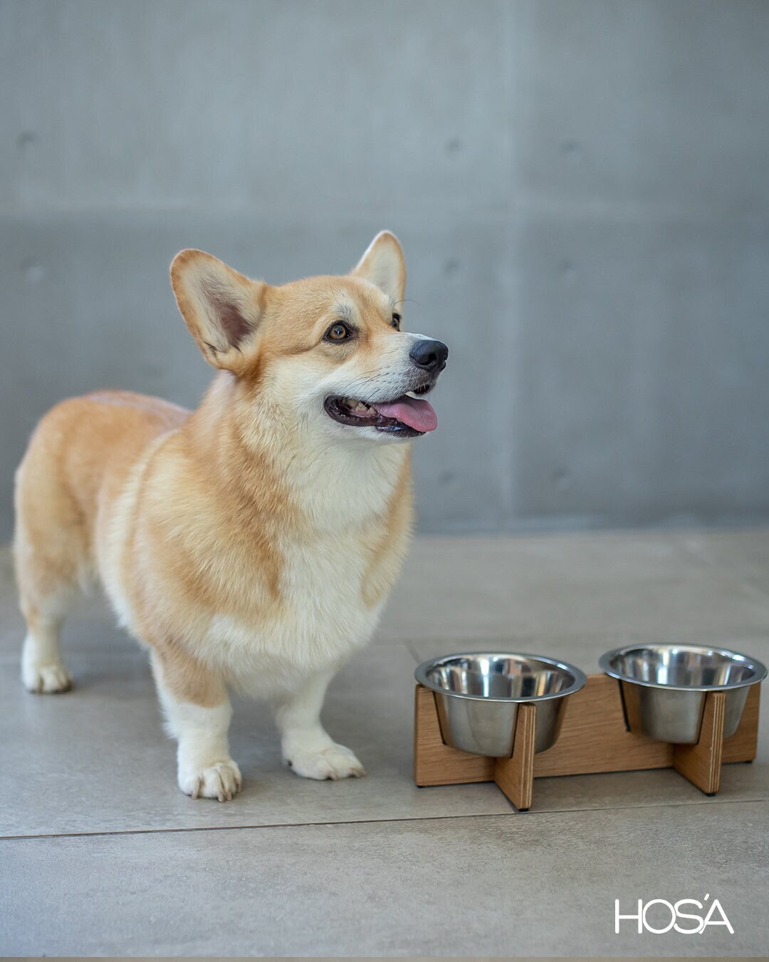 Small Wood Dog Bowl Stand, Raised Puppy Feeder, Elevated Wooden Dog ...