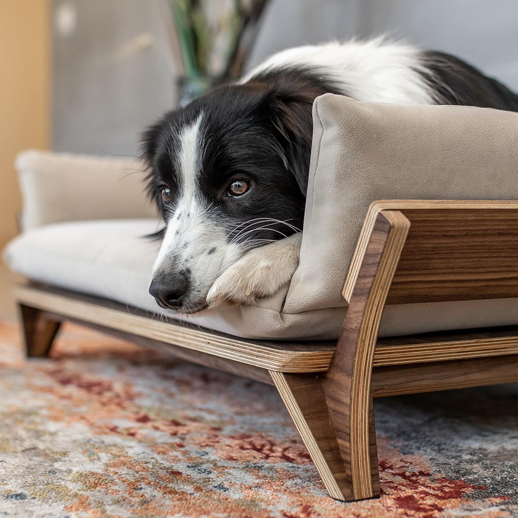 Medium Dog Bed, Medium Size, High-end Dog Bed, Luxury Wood Raised Pet ...