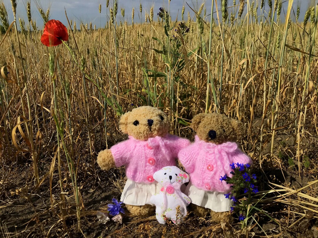 A Summer With matilda Sibling Bears in a Set With - Etsy