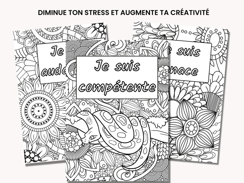 Adult Coloring Positive Affirmation in French PDF to Print 34 Pages - Etsy