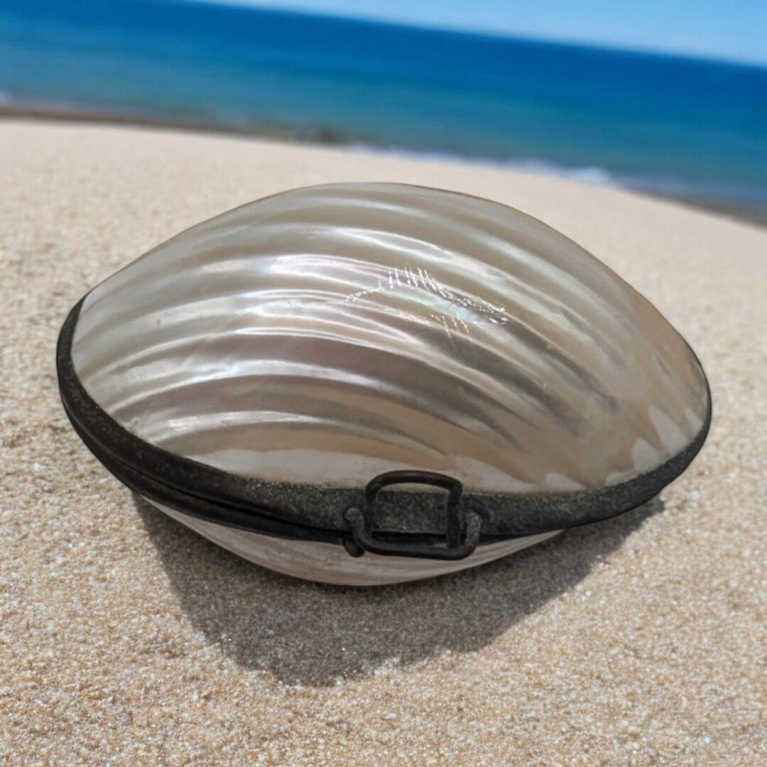 Vintage Mother of Pearl Shell Box Clam Shell Hinged Trinket Box - Etsy