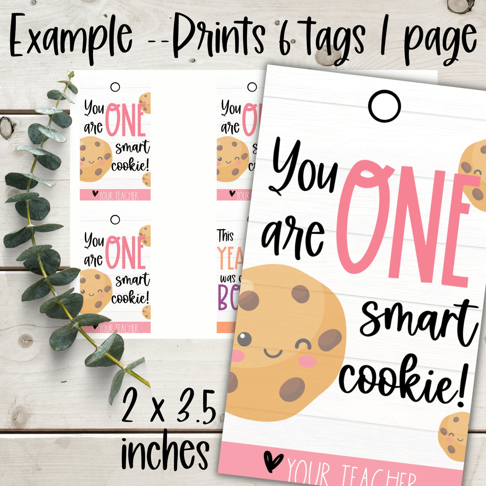STUDENT GIFT TAGS You Are One Smart Cookie End of Year - Etsy