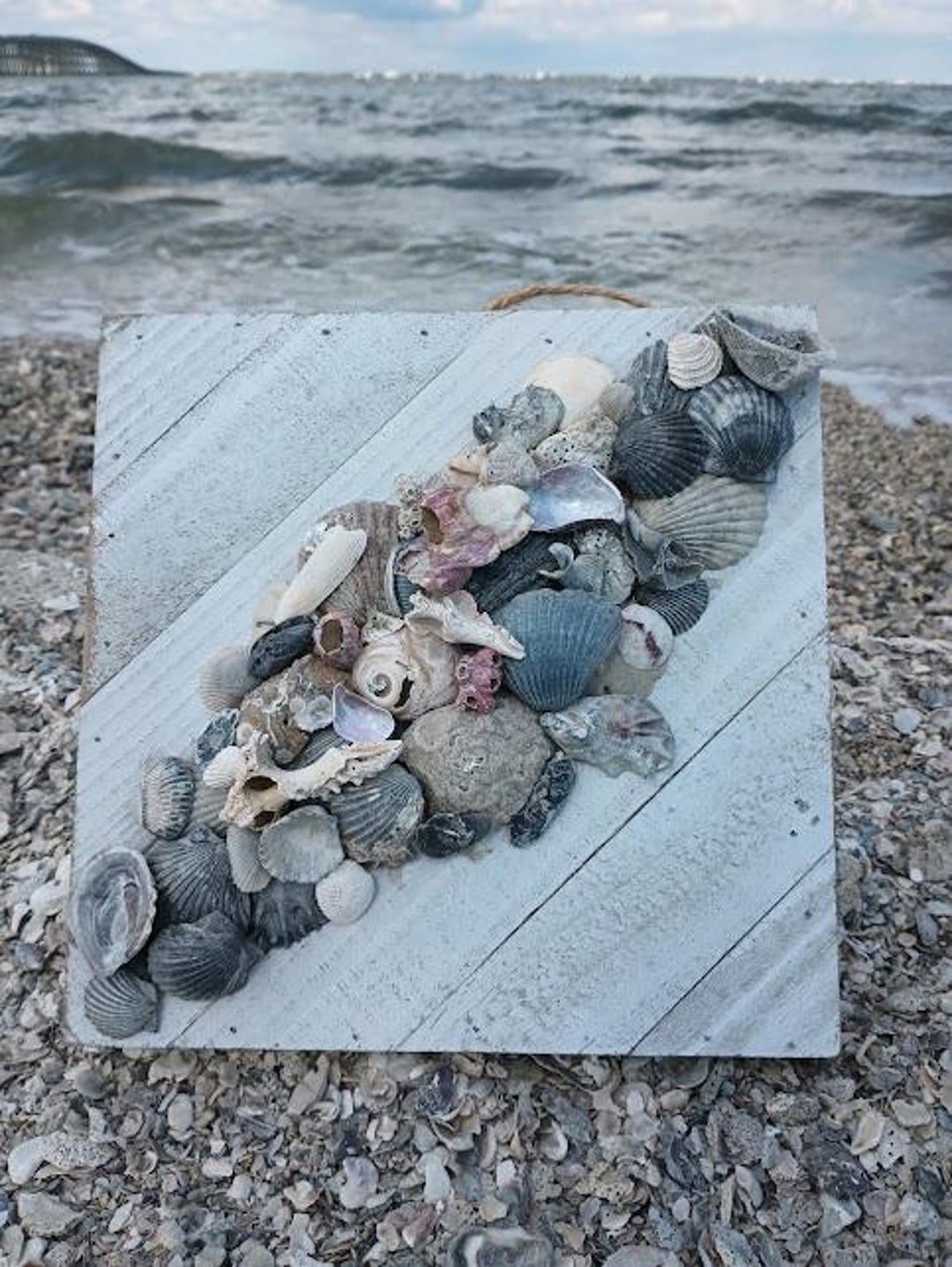 Handmade Hanging Shell Pallet Ocean Beach Natural Picture Decor - Etsy
