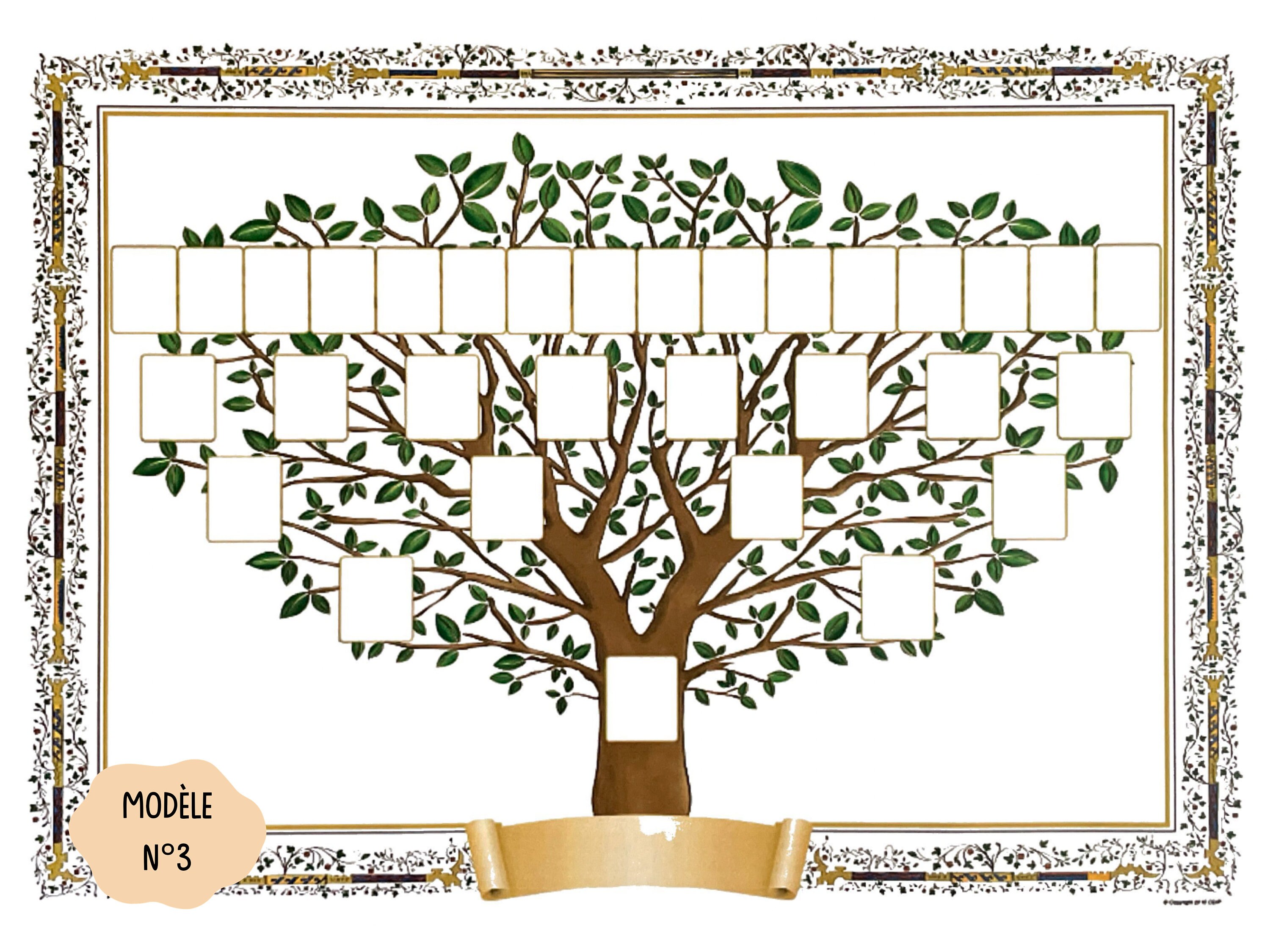 Personalized Family Tree 5 Generations - Etsy