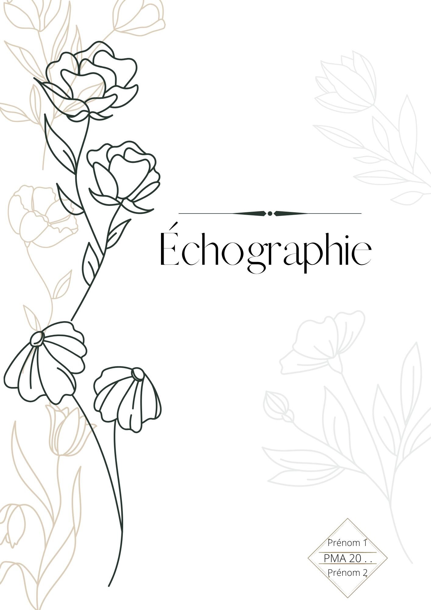 IVF/IAC PMA Route Maps - Etsy